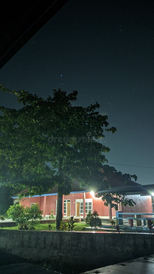 Comfortable Night View Beautiful Cool Stars Light Trees Stock Image ...