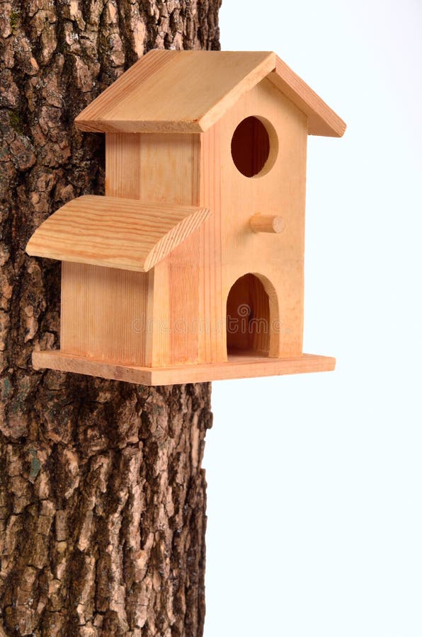 Wooden Bird House(starling House)on Tree Trunk Stock Photo - Image of ...