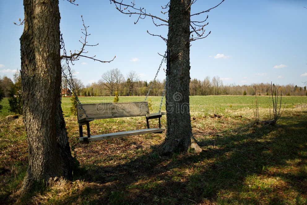 Comfortable Swing Bench between Two Trees Stock Photo - Image of rural ...