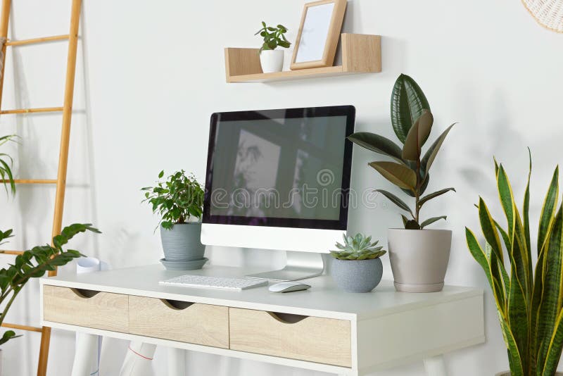 Comfortable Workplace with Modern Computer and Different Houseplants in ...