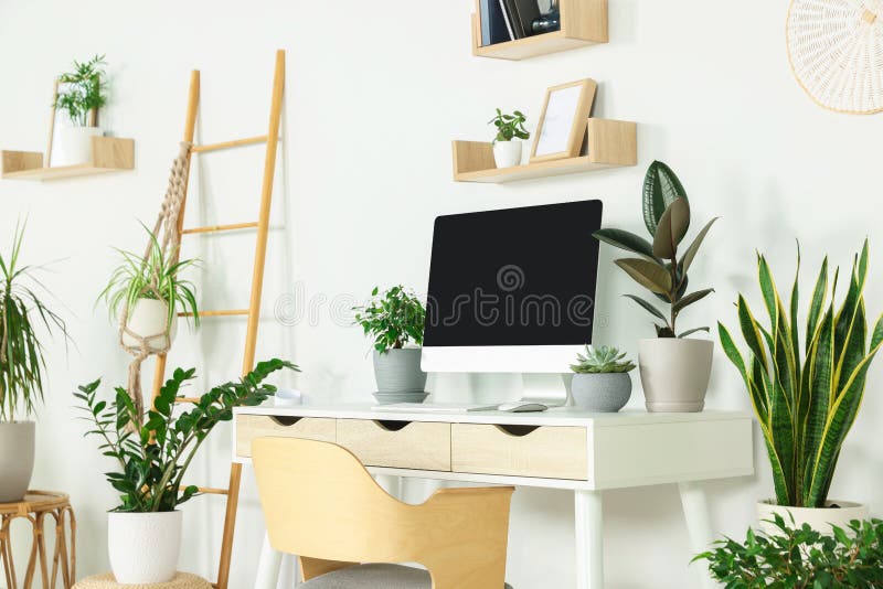 Comfortable Workplace with Modern Computer and Different Houseplants in ...