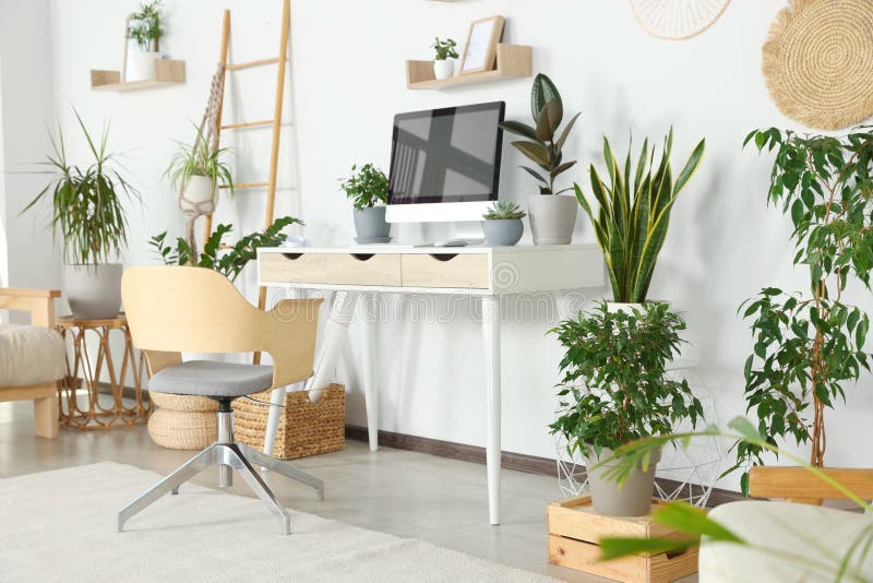 Comfortable Workplace with Modern Computer and Different Houseplants in ...