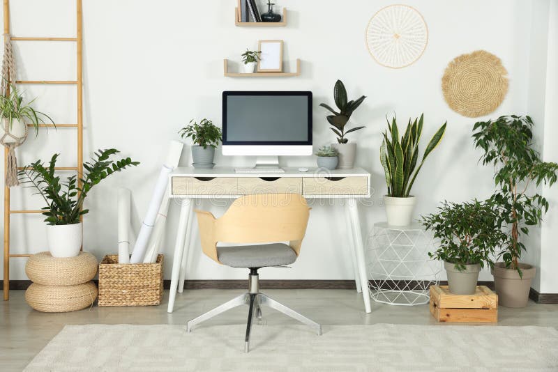 Comfortable Workplace with Modern Computer and Different Houseplants in ...