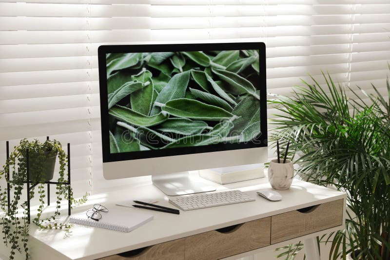 Comfortable Workplace with Modern Computer and Green Plants in Room ...