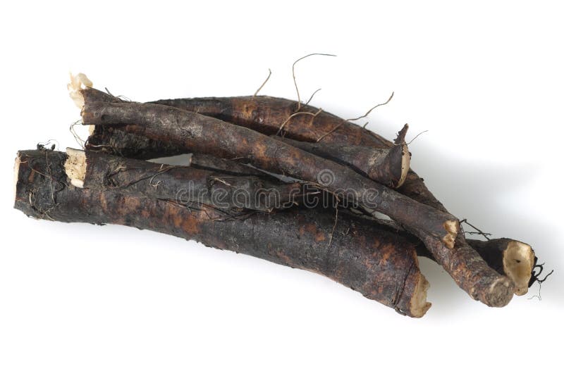 Comfrey; Common; Medicinal, Roots Stock Image - Image of homoeopathic ...