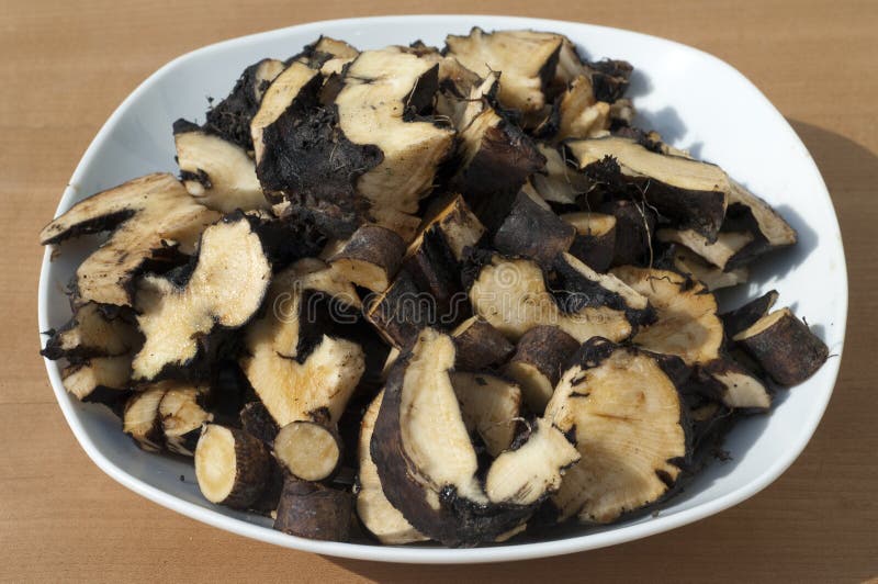 Comfrey; Common; Medicinal, Roots Stock Image - Image of common, roots ...