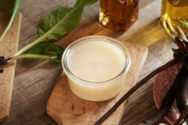 Comfrey Ointment Made of Fresh Knitbone Root and Rendered Pork Lard ...