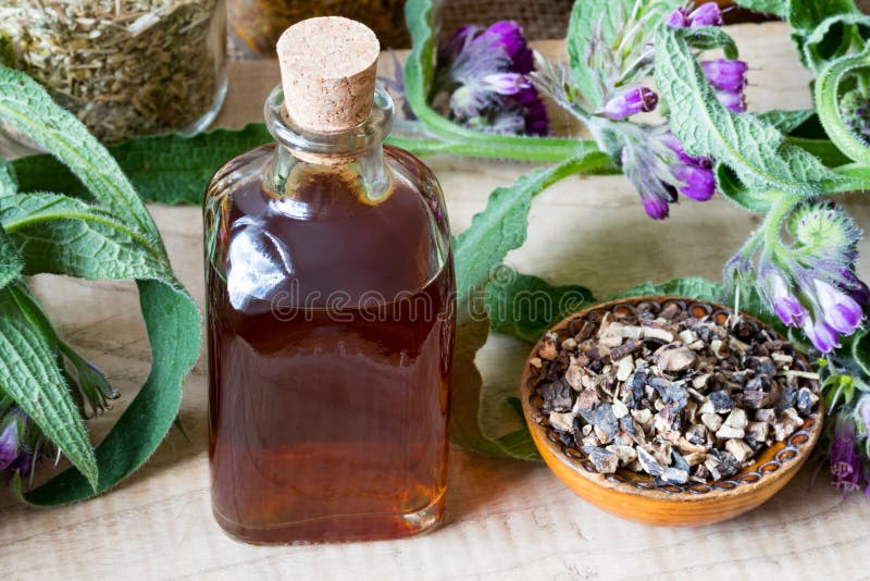 Comfrey Tincture with Dried Comfrey Root and Fresh Plant Stock Photo ...