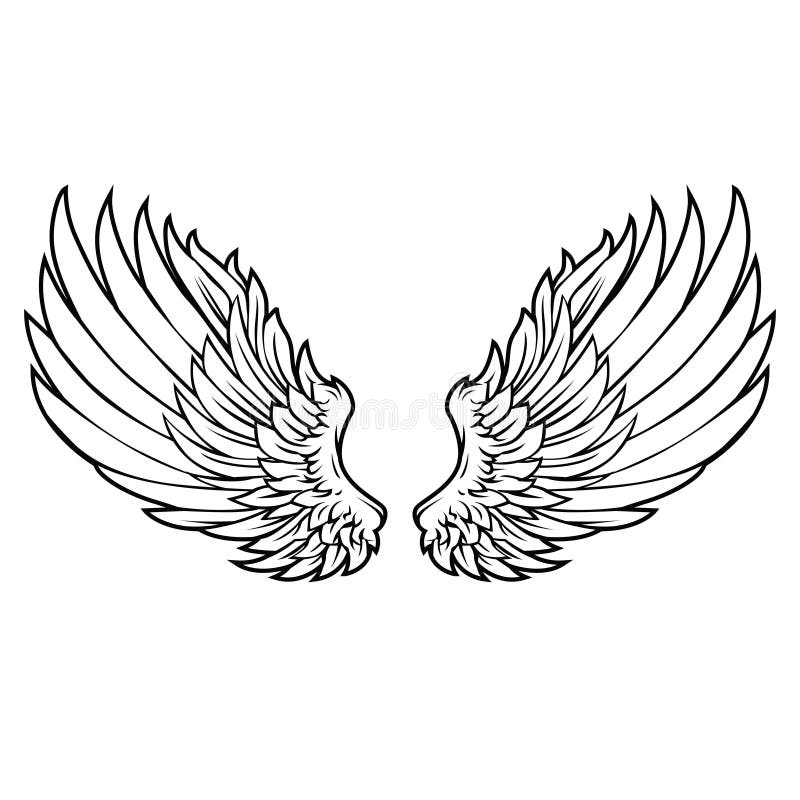 Wings Bird Feather Tattoo Hawk Angel Wings Vector Stock Vector ...