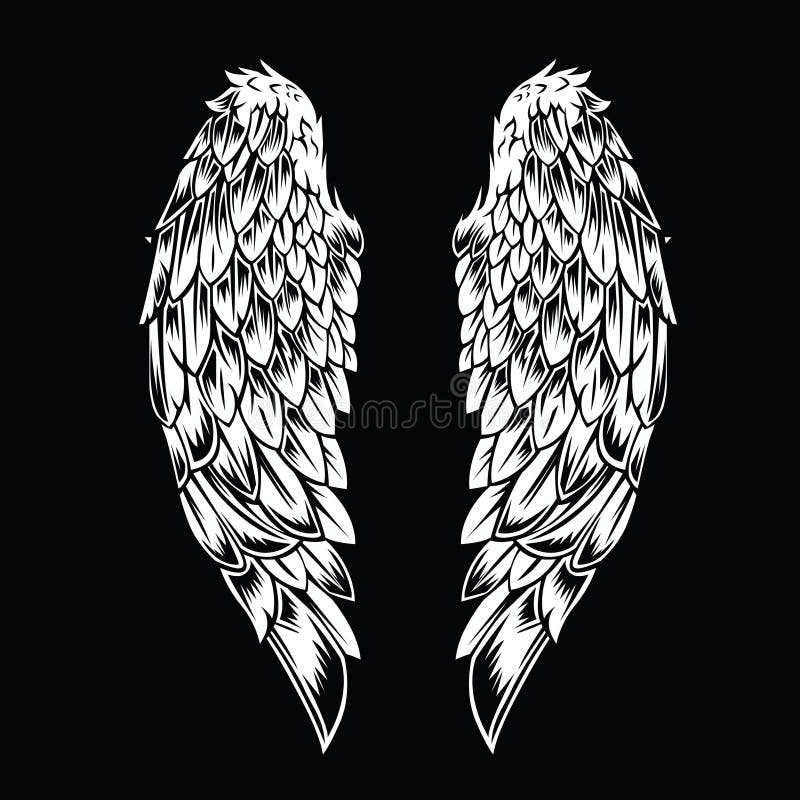 Vector Wings Logo Wing Brand and Logotype Wing Bird Winged Logo Company ...