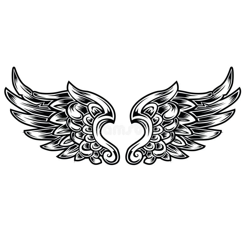 Vector Wings Logo Wing Brand and Logotype Wing Bird Winged Logo Company ...