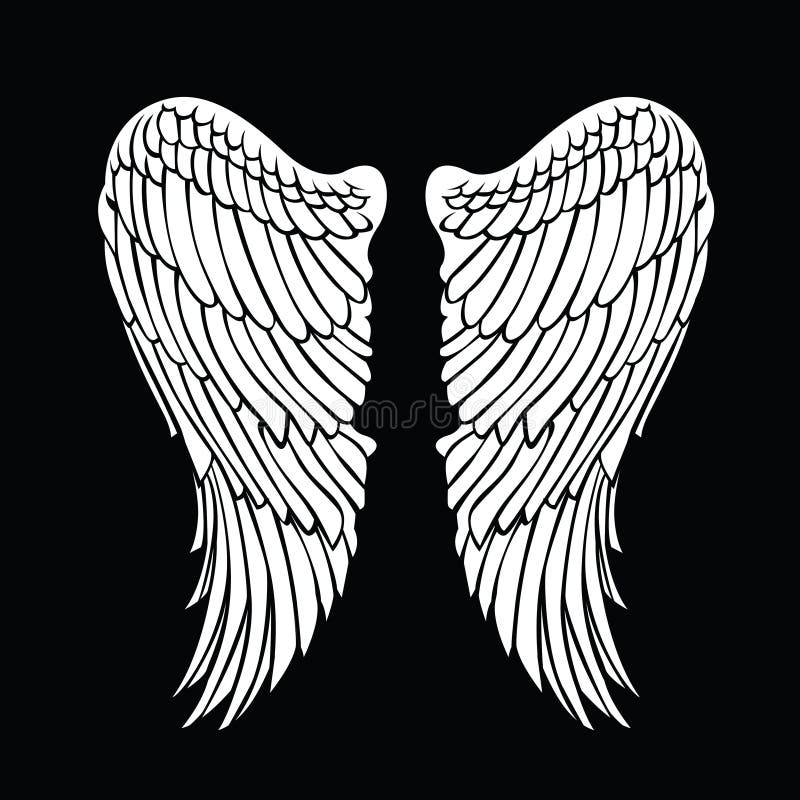 Vector Wings Logo Wing Brand and Logotype Wing Bird Winged Logo Company ...