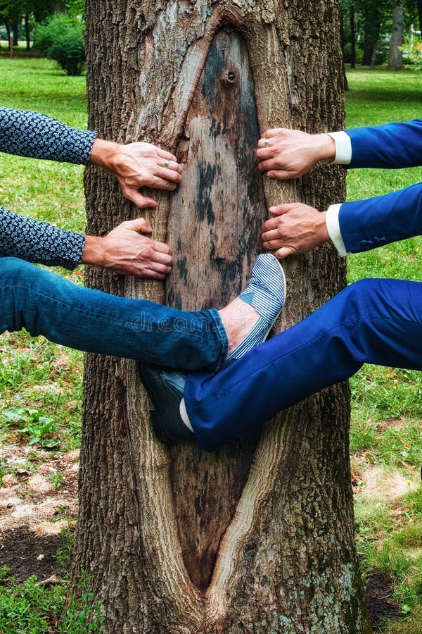 Log Pantomime Stock Photos - Free & Royalty-Free Stock Photos from ...