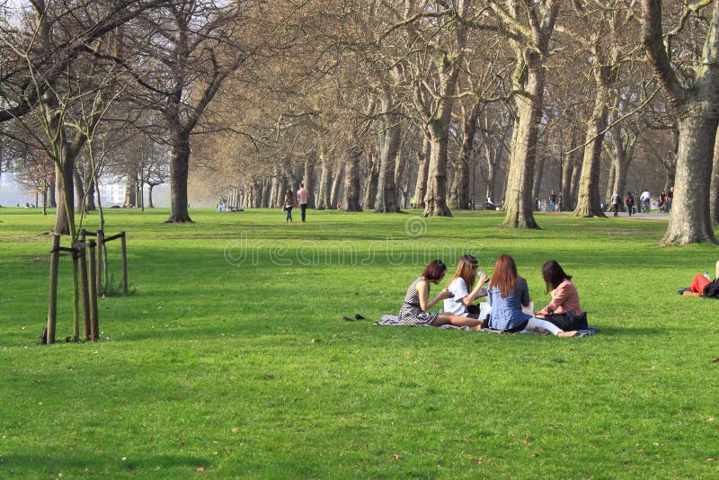Comida Campestre En Parque Verde Fotografía editorial - Imagen de ...