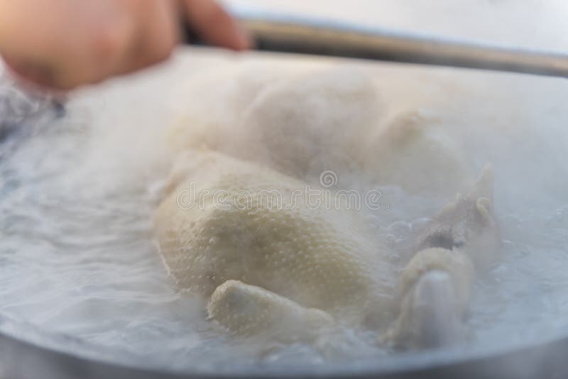 Comida China Pollo En Agua Hirviendo Imagen de archivo - Imagen de ...