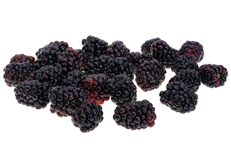 Comida Cruda De Morada Aislada Imagen de archivo - Imagen de grupo ...