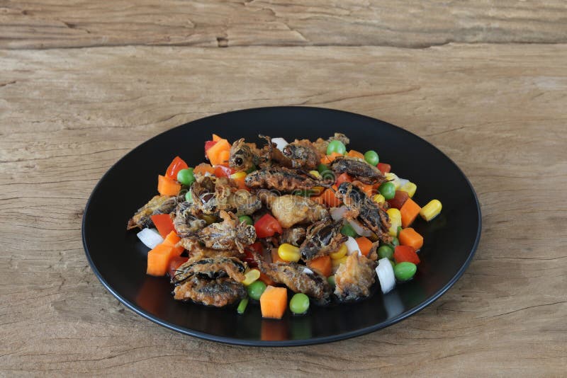 Comida De Los Insectos Grillos Fritos Con La Ensalada Imagen de archivo ...