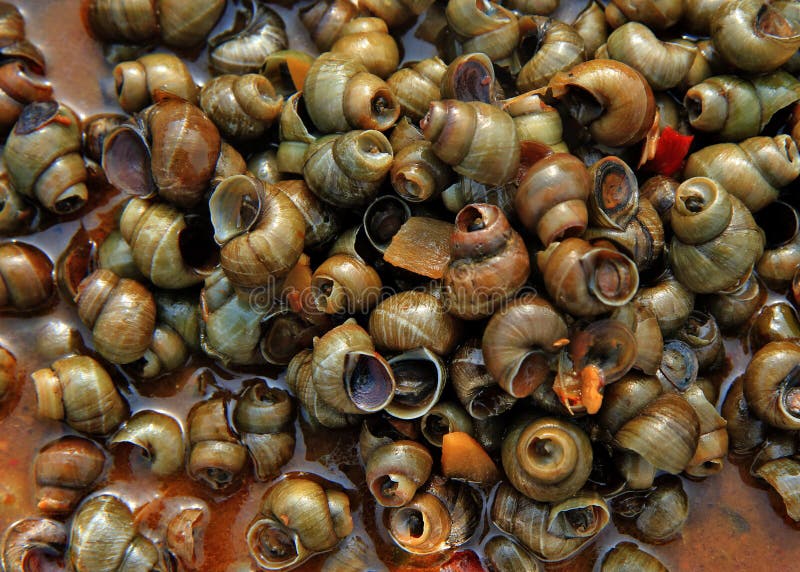 Comida Del Sabor De Los Caracoles Foto de archivo - Imagen de marzo ...