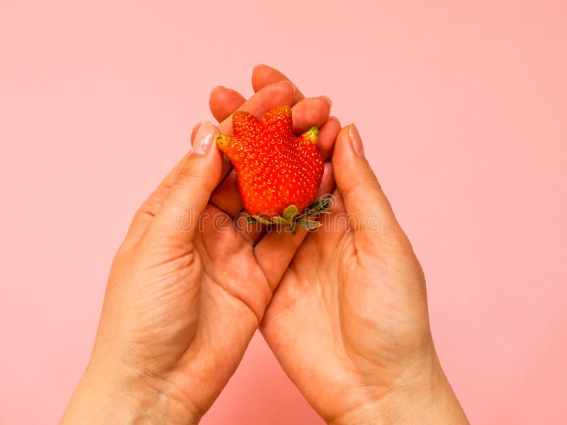 Comida Fea : Seis Fresas Sobre Fondo Blanco Foto de archivo - Imagen de ...