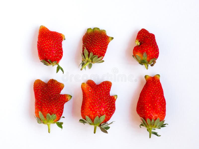 Comida Fea : Seis Fresas Sobre Fondo Blanco Foto de archivo - Imagen de ...