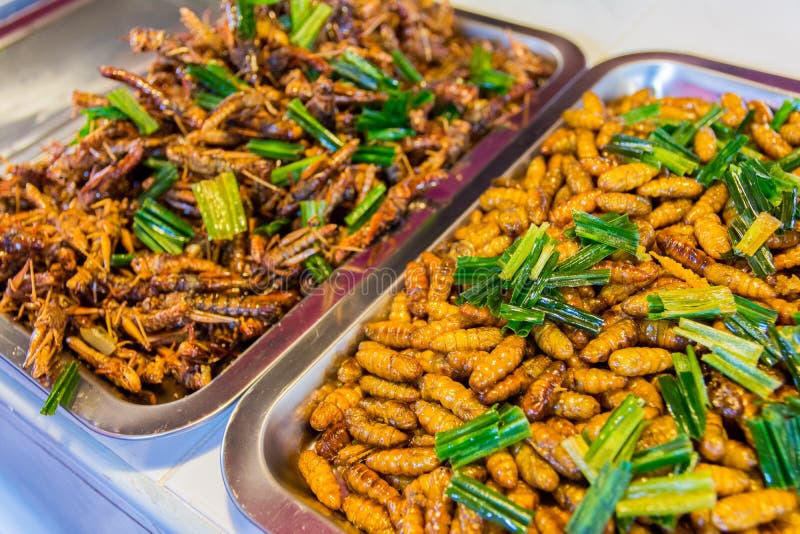 Comida Frita De Los Insectos Foto de archivo - Imagen de tailandia ...