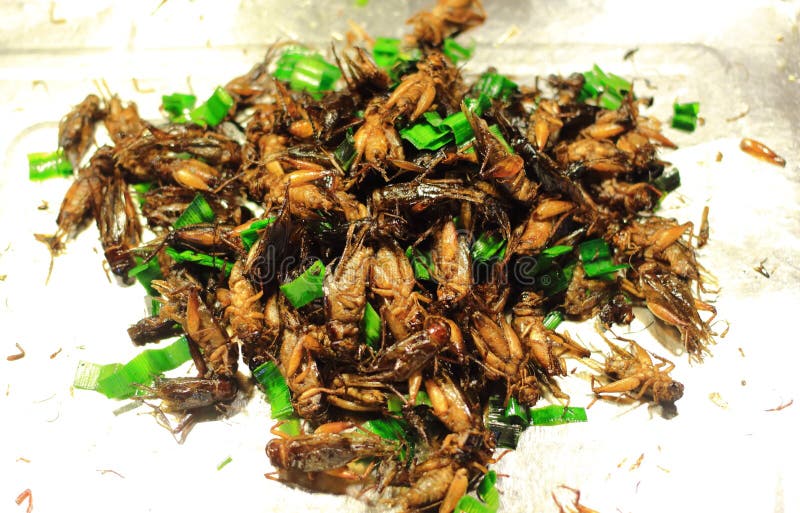 Grillo Frito Fotos De Stock - Descarga 681 Fotos Libres de Derechos