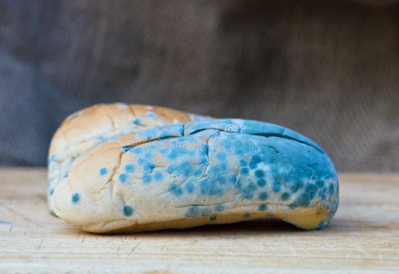 Comida no comestible foto de archivo. Imagen de postre - 47713712