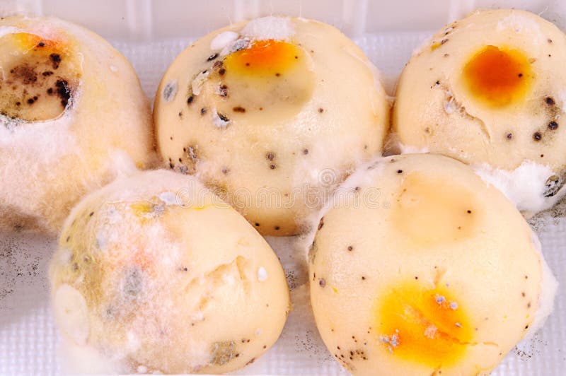 Comida no comestible foto de archivo. Imagen de postre - 47713712