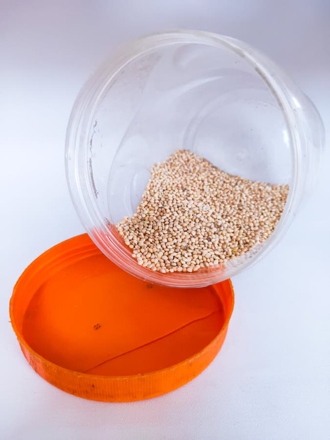 Comida Para Aves Aislada En Un Fondo Blanco Foto de archivo - Imagen de ...