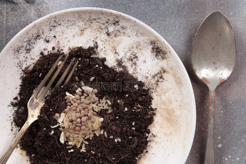 Comida pobre foto de archivo. Imagen de desayuno, apetitoso - 42349316