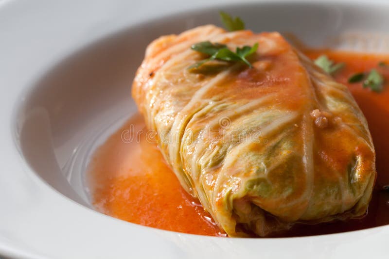 Comida polaca imagen de archivo. Imagen de carne, arroz - 43435643