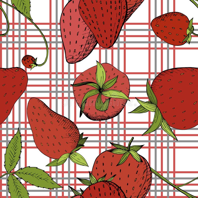 Comida Sana De La Fruta Fresca De La Fresa Del Vector Arte Grabado Rojo