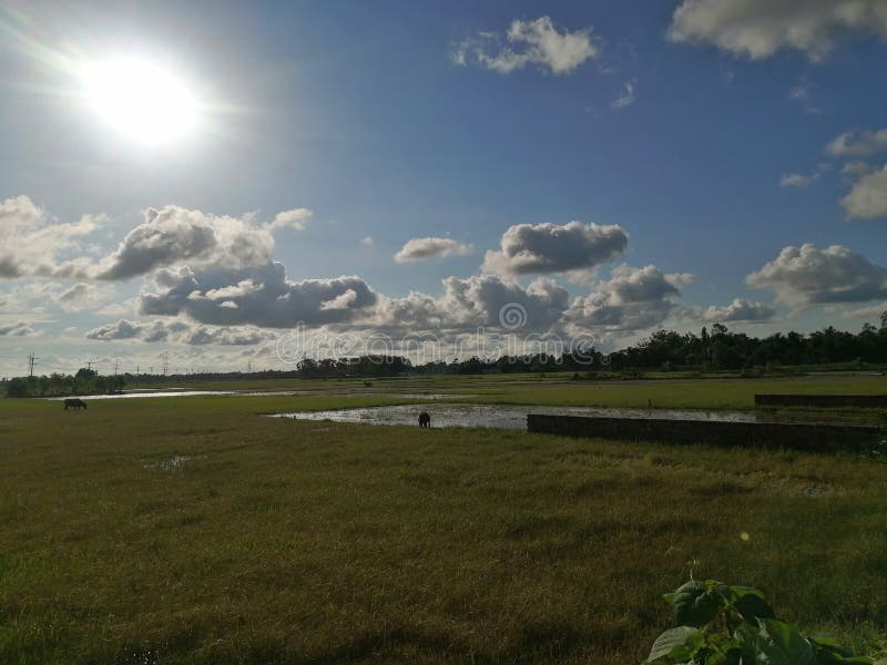 Comilla Photos - Free & Royalty-Free Stock Photos from Dreamstime