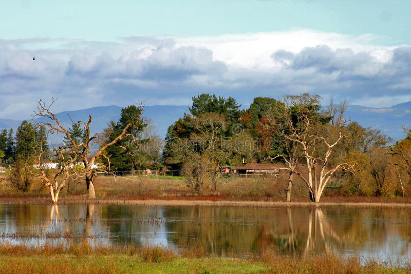 Coming Storm Picture. Image: 399586