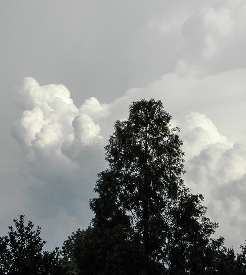 Coming Storm stock photo. Image of stormclouds, view - 40086348