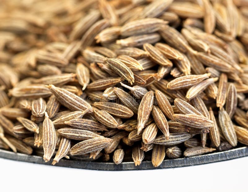 Cominhos imagem de stock. Imagem de alimento, tempero - 19524237