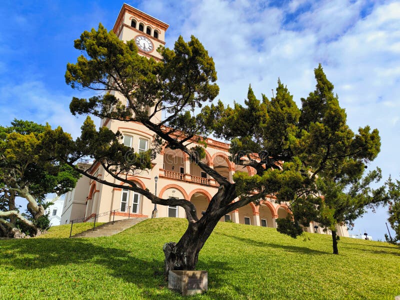 A Bermuda Cedar Tree, Juniperus Bermudianain Front of Parliment in ...