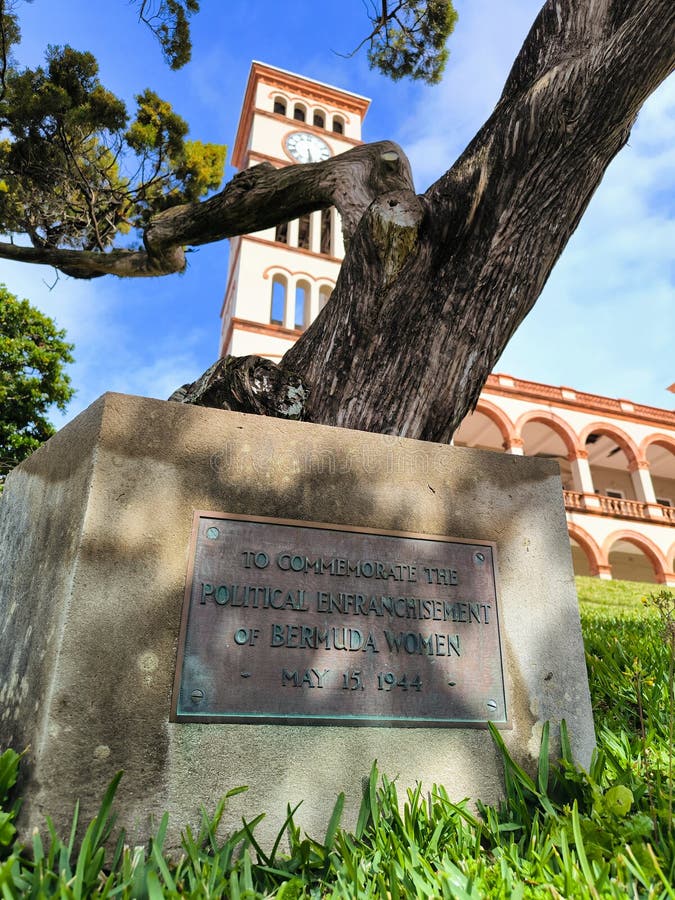 Juniperus Bermudiana Stock Photos - Free & Royalty-Free Stock Photos ...