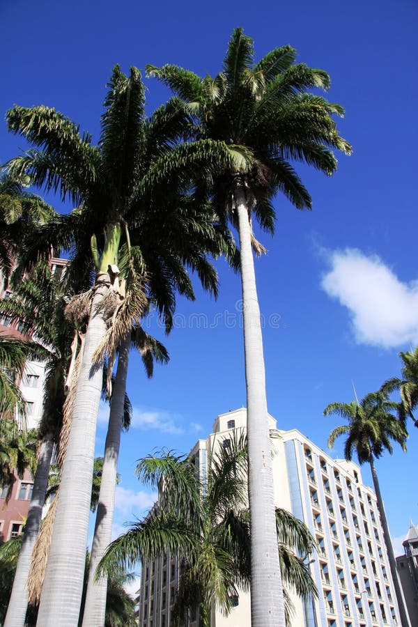 Commercial building stock photo. Image of shopping, urban - 17349352