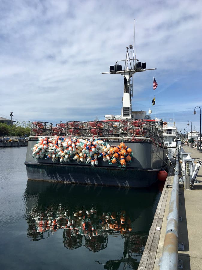 Commercial fishing needs stock image. Image of fishing - 184143267