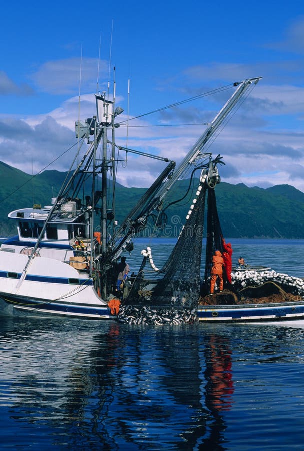 Commercial Salmon Fishing stock image. Image of fish - 12749079