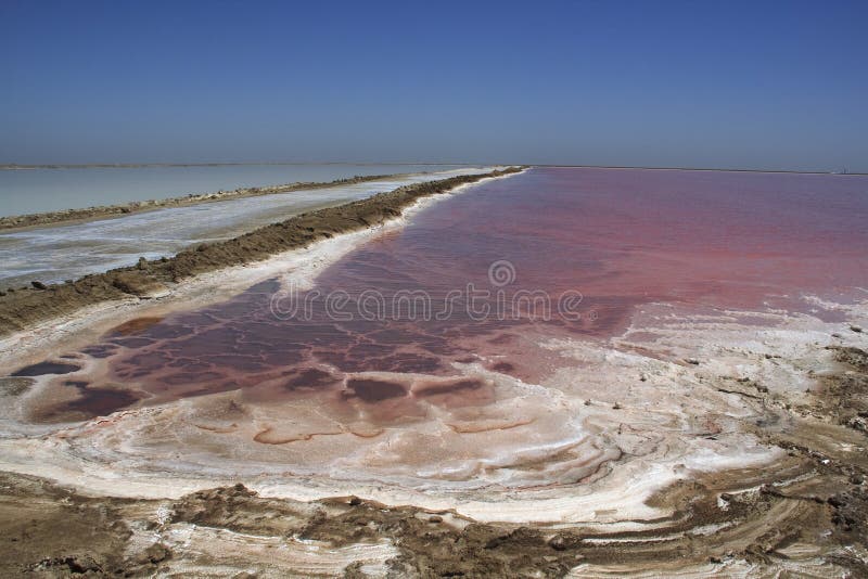 Commercial Salt Pans stock photo. Image of pans, pelican - 11297958