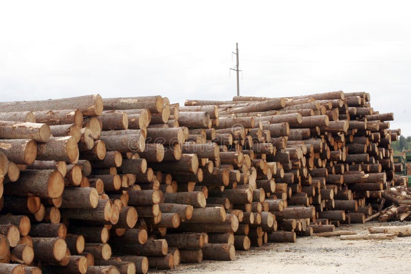 Commercial timber stock image. Image of woodworking, felling - 8419023