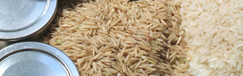 Commodity with Metal Lid, Full Grain Organic Rice Commodity Stock Photo ...