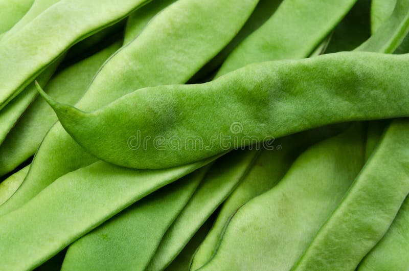 Common bean stock photo. Image of vegetable, life, garden - 25003662