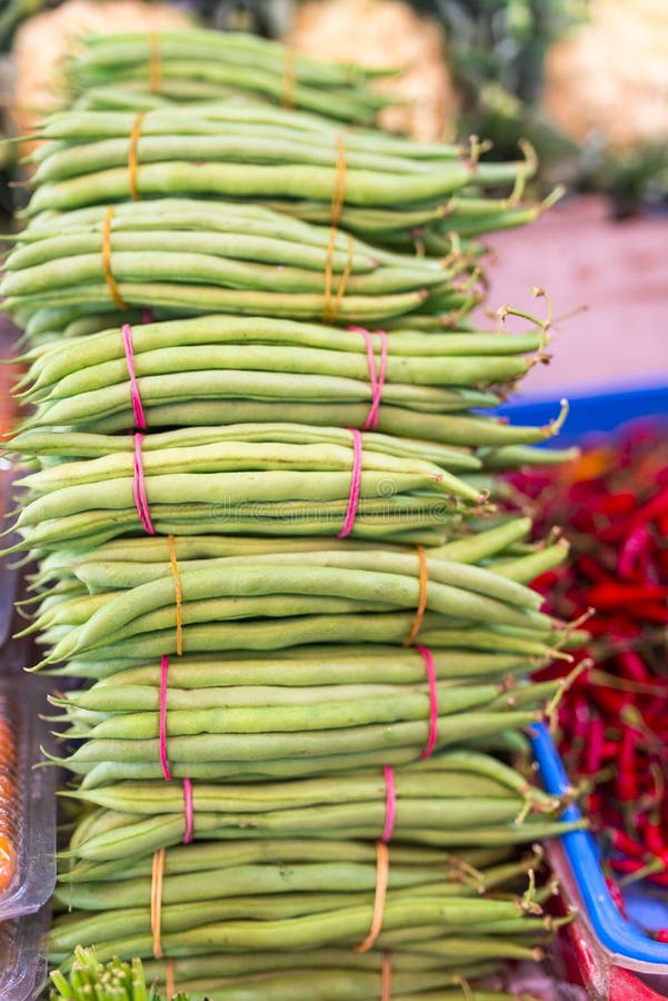 Common Bean Plant Phaseolus Vulgaris Stock Photo - Image of cultivated ...