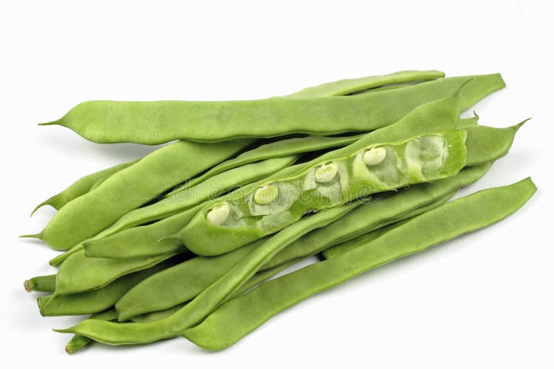 Common Bean Plant Grows in Village Stock Image - Image of garden, leaf ...