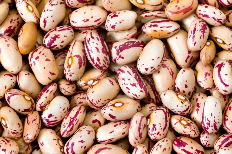 Common beans stock image. Image of group, ingredient - 23292275