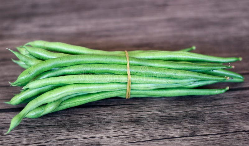 Common Beans stock image. Image of indonesia, fluffy - 144205495