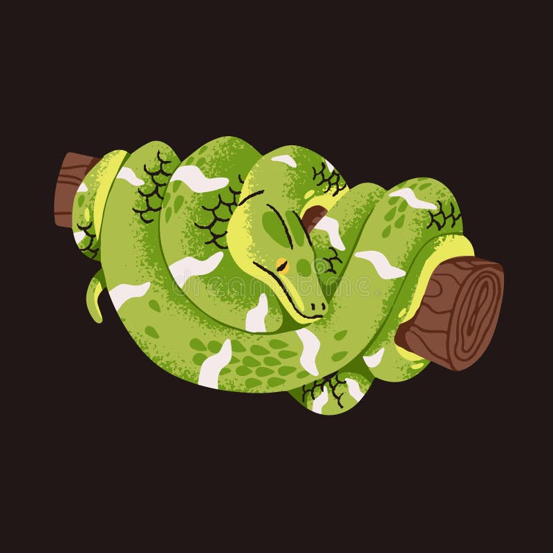 Common Boa Constrictor Rest on Tree. Exotic Big Snake Curled about ...